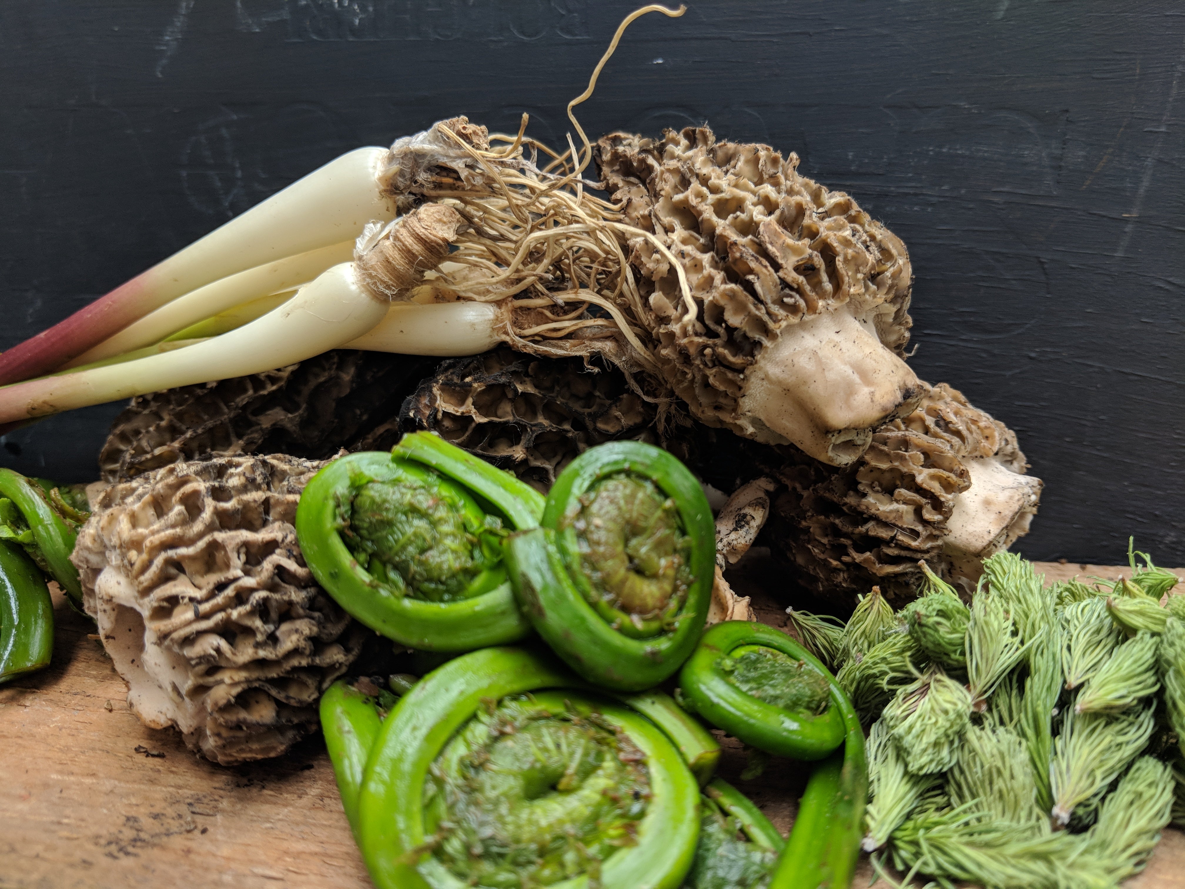The first foods of the year – Forbes Wild Foods